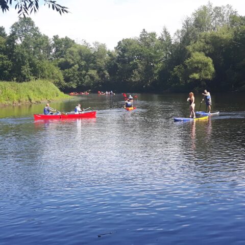 Canot - Golf Le Sélect